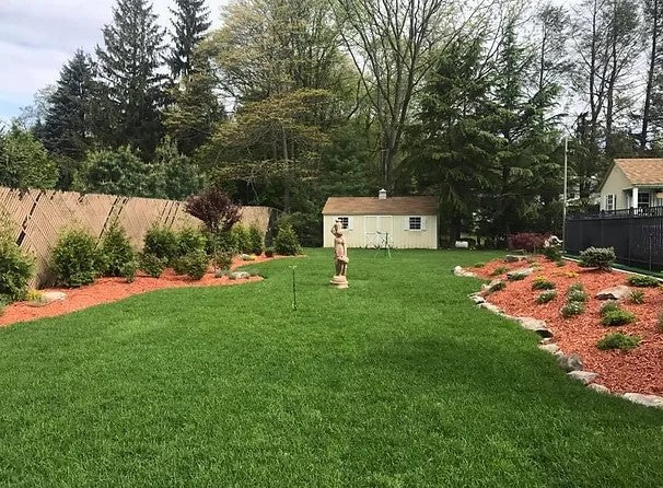 Spring Lawn Prep: Essential Steps for a Lush Yard | Your Guide