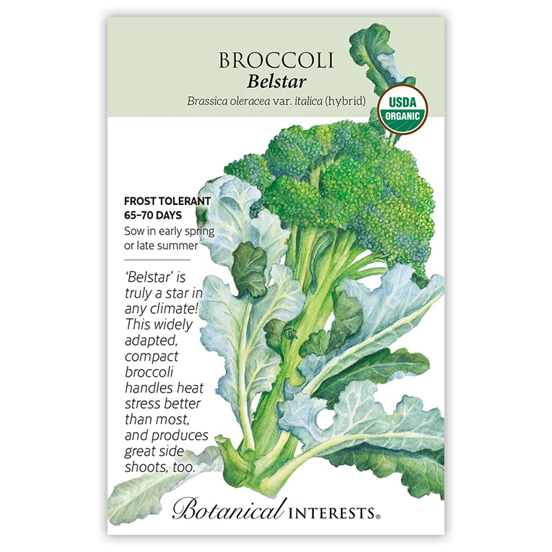 Botanical Interests Broccoli Belstar Organic Seeds